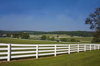 Classic and Durable Split Rail Fencing Installation